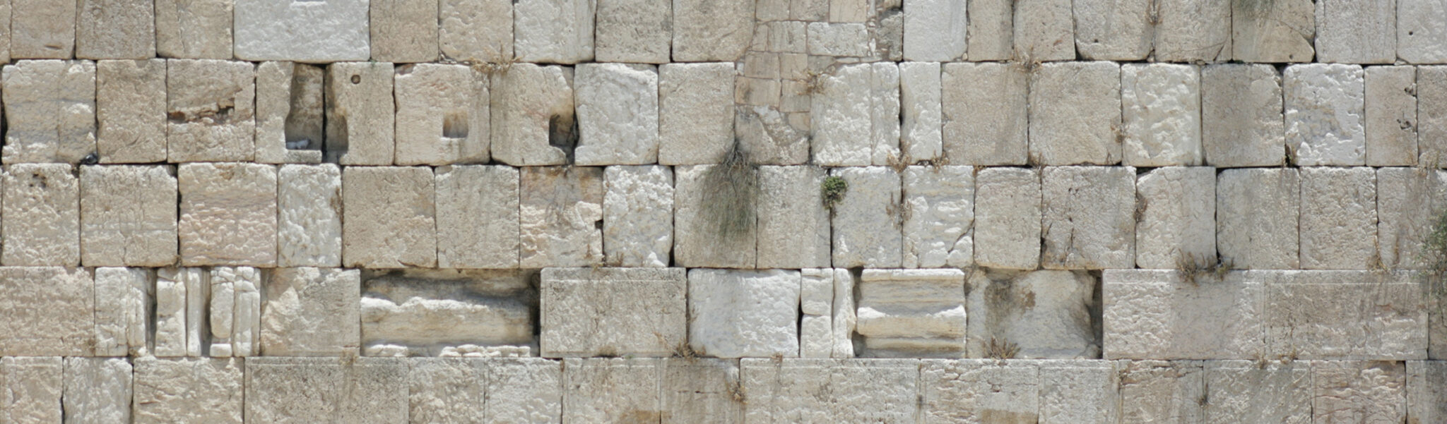 Holy Land Councillor – Equestrian Order of the Holy Sepulchre of Jerusalem